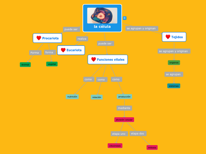 la célula - Mind Map